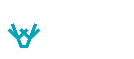 About Vaxa Group: Your Strategic Growth Partner